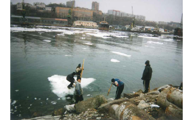 山富木材株式会社 愛知県名古屋市 ロシア貿易